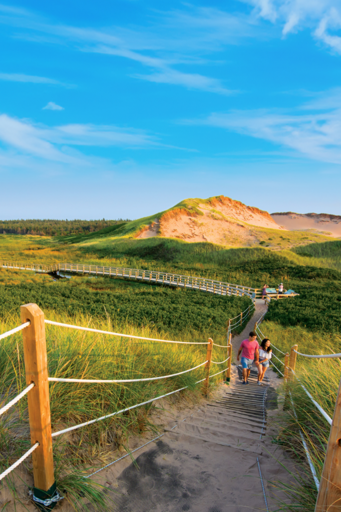 AUSNZ Licensing - Physician Careers PEI